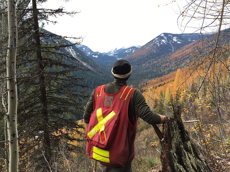 KDCFS Forestry Crew -Training and Employment | Kaslo & District ...